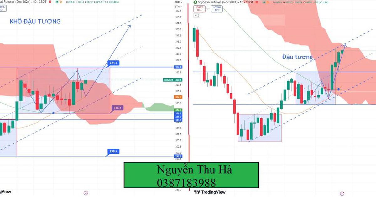 Nông sản (Lúa Mỳ, Đậu Tương, Dầu Đậu Tương) đều đã tăng mạnh, chuẩn bị ...