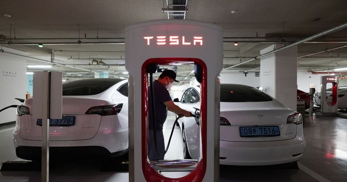 Đặt cược ‘tất tay’ vào cổ phiếu Tesla của tỷ phú Elon Musk với hy vọng ...