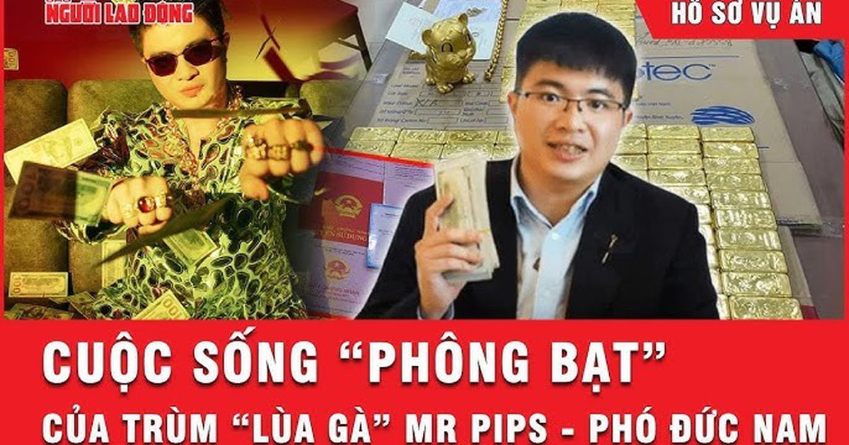 Vụ lừa đảo của Mr Pips: Danh sách 7 công ty liên quan, đại diện pháp ...