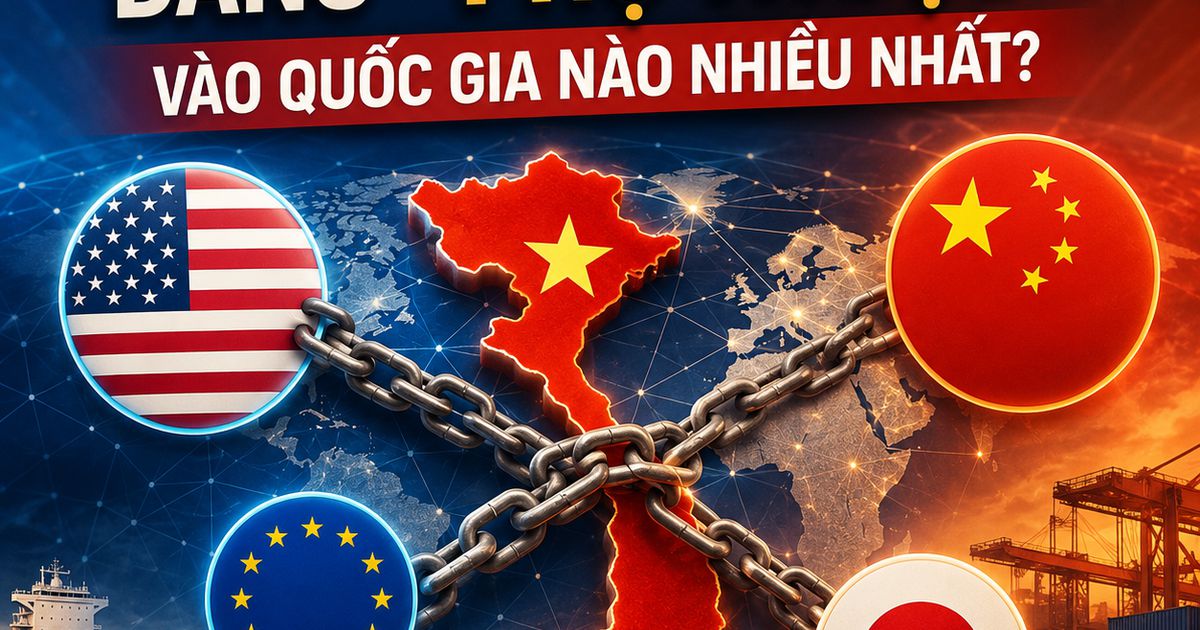Việt Nam đang "phụ thuộc" vào Quốc gia nào nhiều nhất?